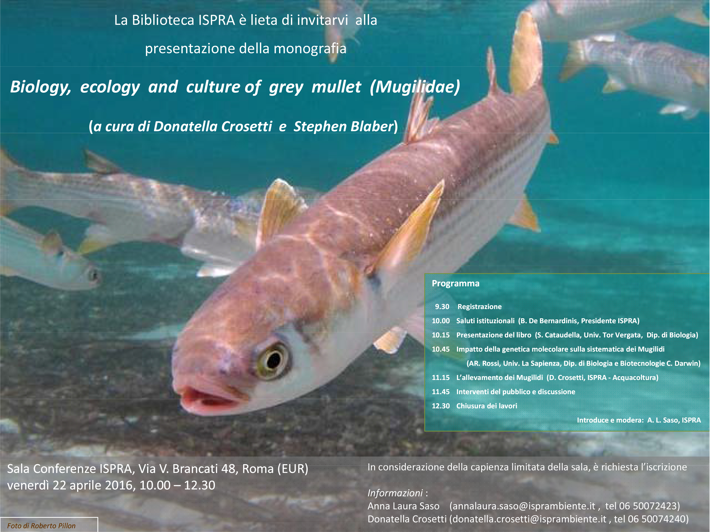 Presentation of the volume " "Biology, ecology and culture of grey ...
