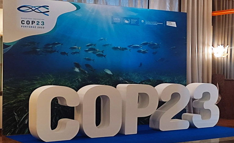 The message of the new generations arrives at the COP23 of the ...