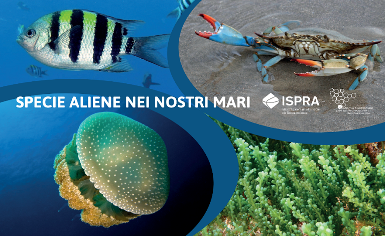 Alien species in our seas — English