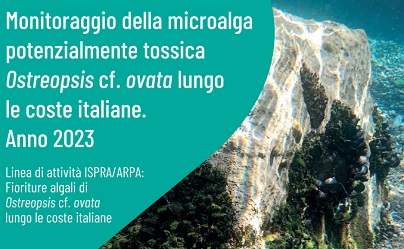 Monitoring potentially toxic Ostreopsis cf. ovata along the italian ...