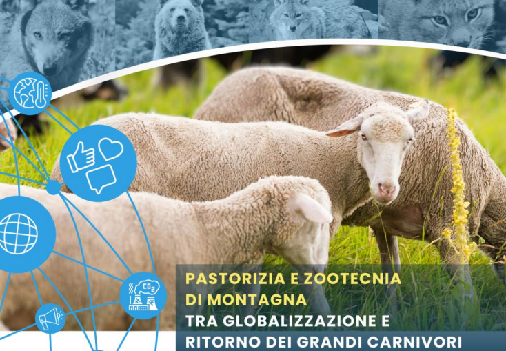 Pastoralism and Mountain Livestock Farming between Globalization and ...