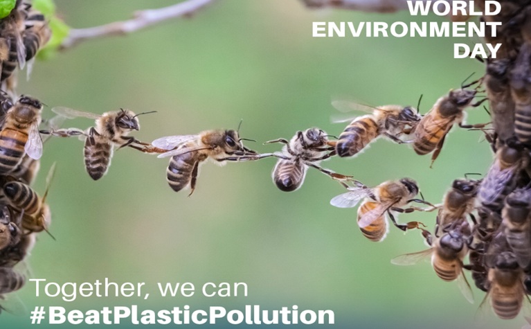 World Environment Day 2025 — English