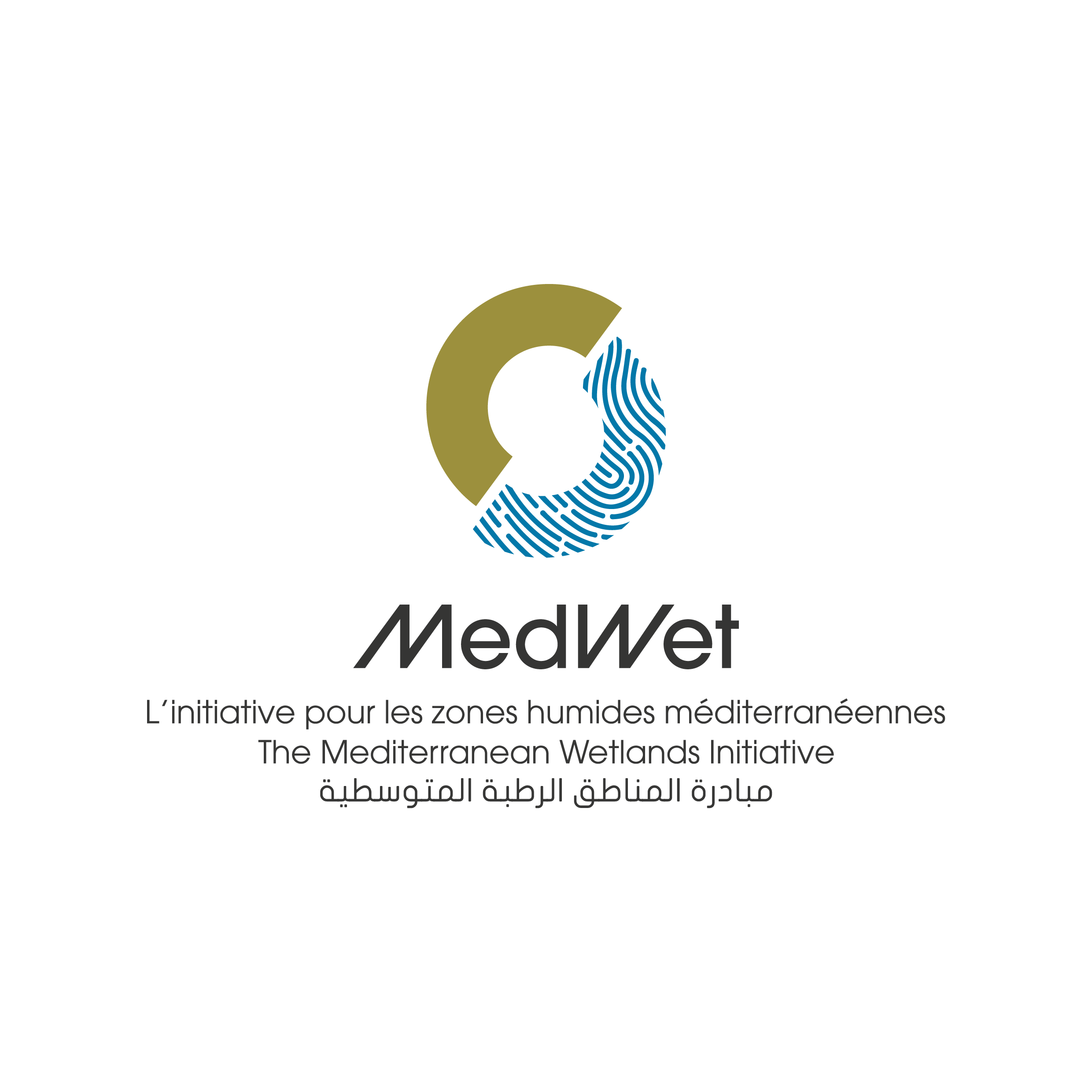 medwet_logo.png — ISPRA Istituto Superiore per la Protezione e la ...