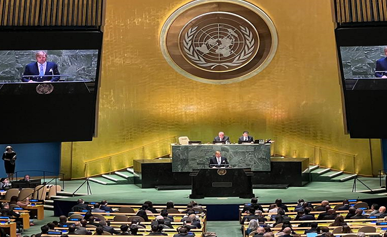 Conferenza ONU sull'Acqua — Italiano