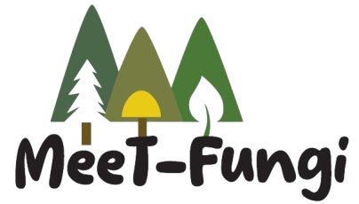 MEET-FUNGI: al via il progetto e le iniziative 2026 dedicate alla ...