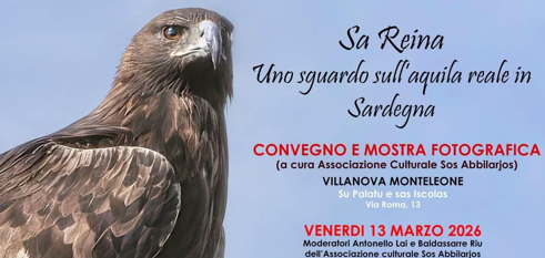 Sa Reina. Uno sguardo sull'aquila reale in Sardegna — Italiano