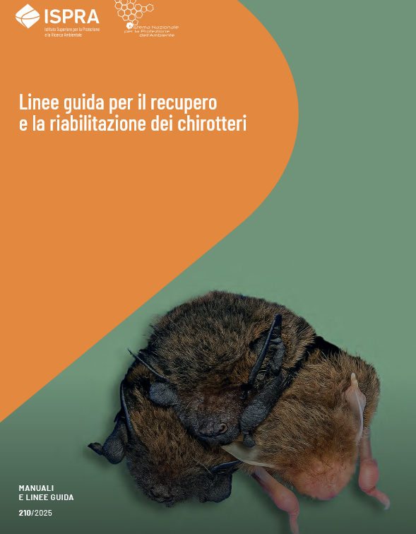 Linee guida per il recupero e la riabilitazione dei chirotteri — Italiano