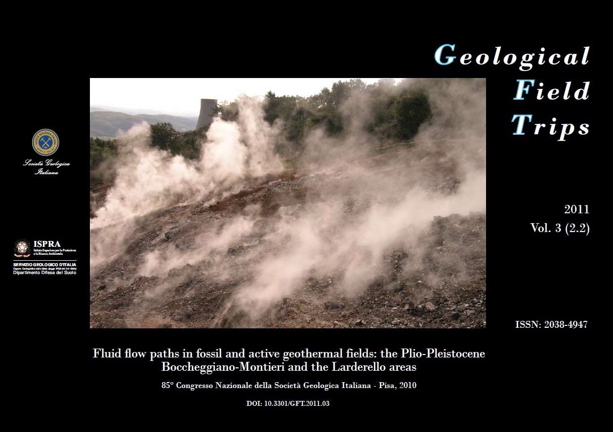 Fluid flow paths in fossil and active geothermal fields: the Plio ...
